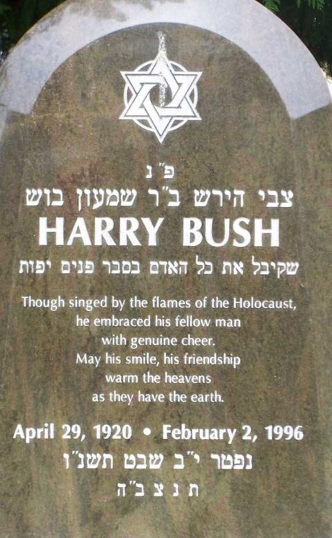 HARRY BUSH | BCMH Seattle